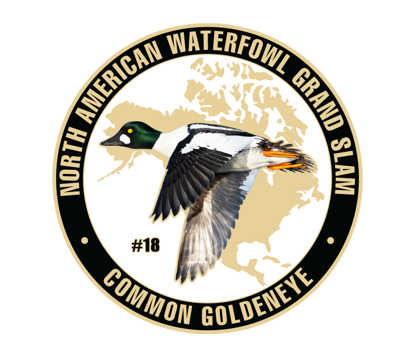 UWC Common Goldeneye Challenge Coin – Ultimate Waterfowlers Challenge